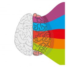 Debunking the 10 Percent Brain Use Myth - Zero to Infinitude